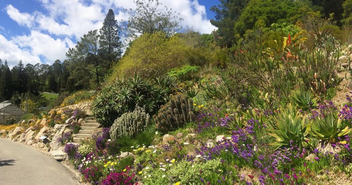The Best of Spring in Berkeley, California | Rediscover America