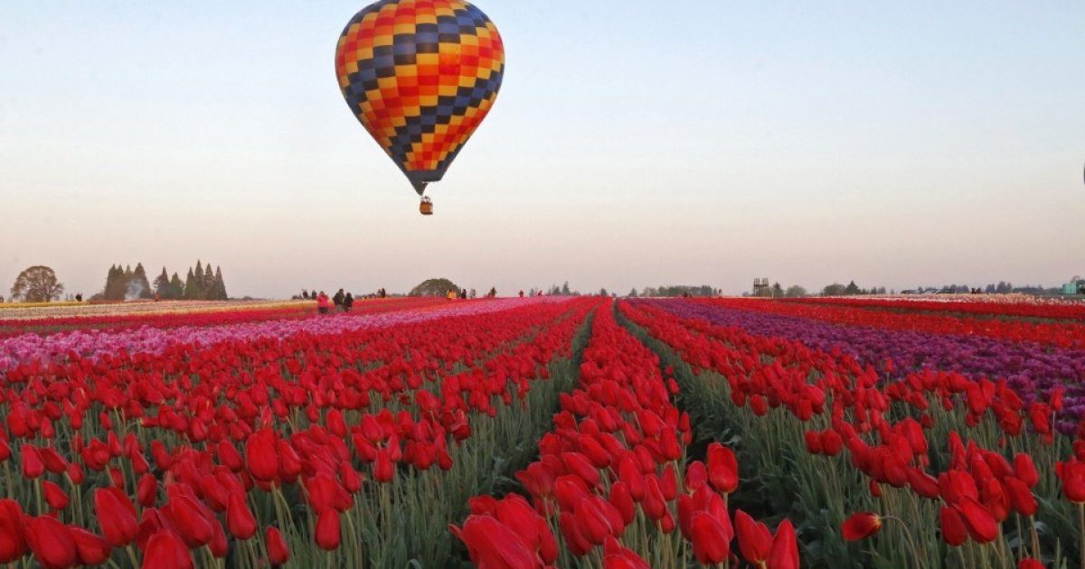 Enjoy the Scenic Beauty in Salem, Oregon | Rediscover America